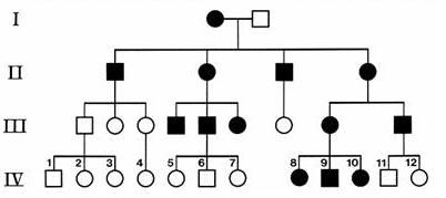 Multifactorial Inheritance Pedigree