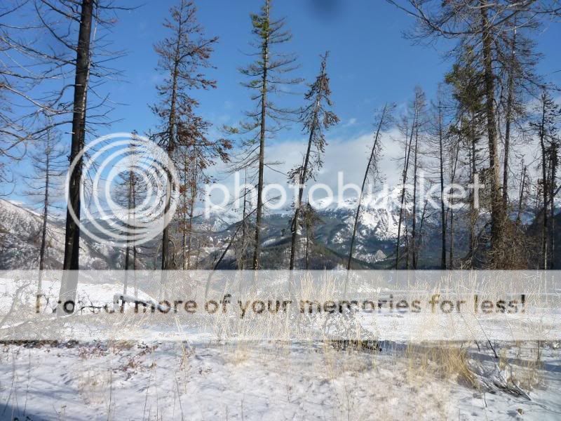 The Mahalas........ BUILD - Toyota 4Runner Forum - Largest 4Runner Forum