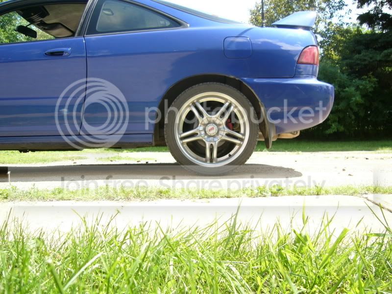Gold rims on blue teg?Opinions! **PICS** | Team Integra Forums
