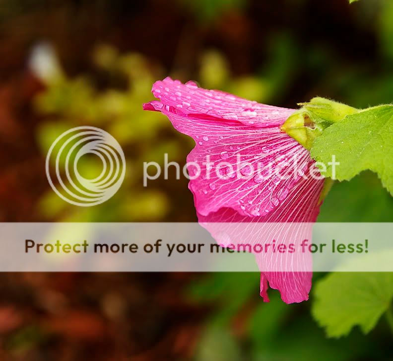 Early Autumn Colors - PentaxForums.com