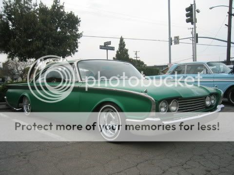 Bellflower tips...( be Honest ) | The H.A.M.B.