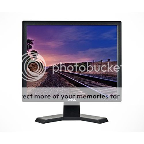Dell 17- Inch CHEAP LCD Monitor E170SC