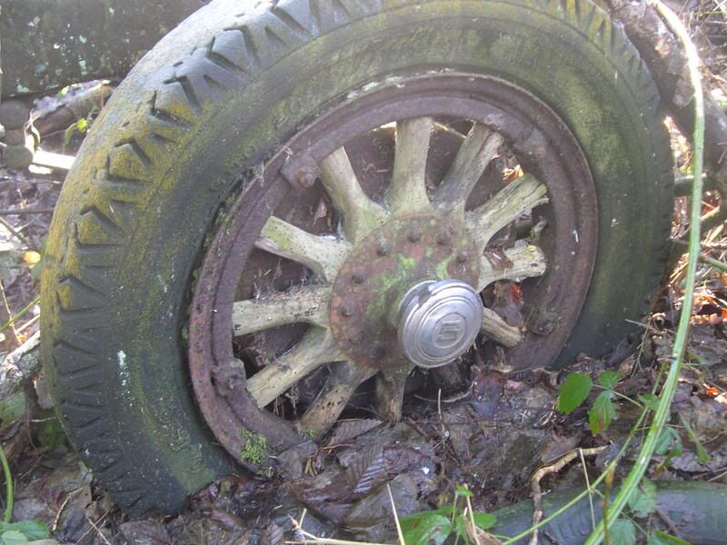 Swamp find in washington! (lots of pictures) | Page 4 | The H.A.M.B.