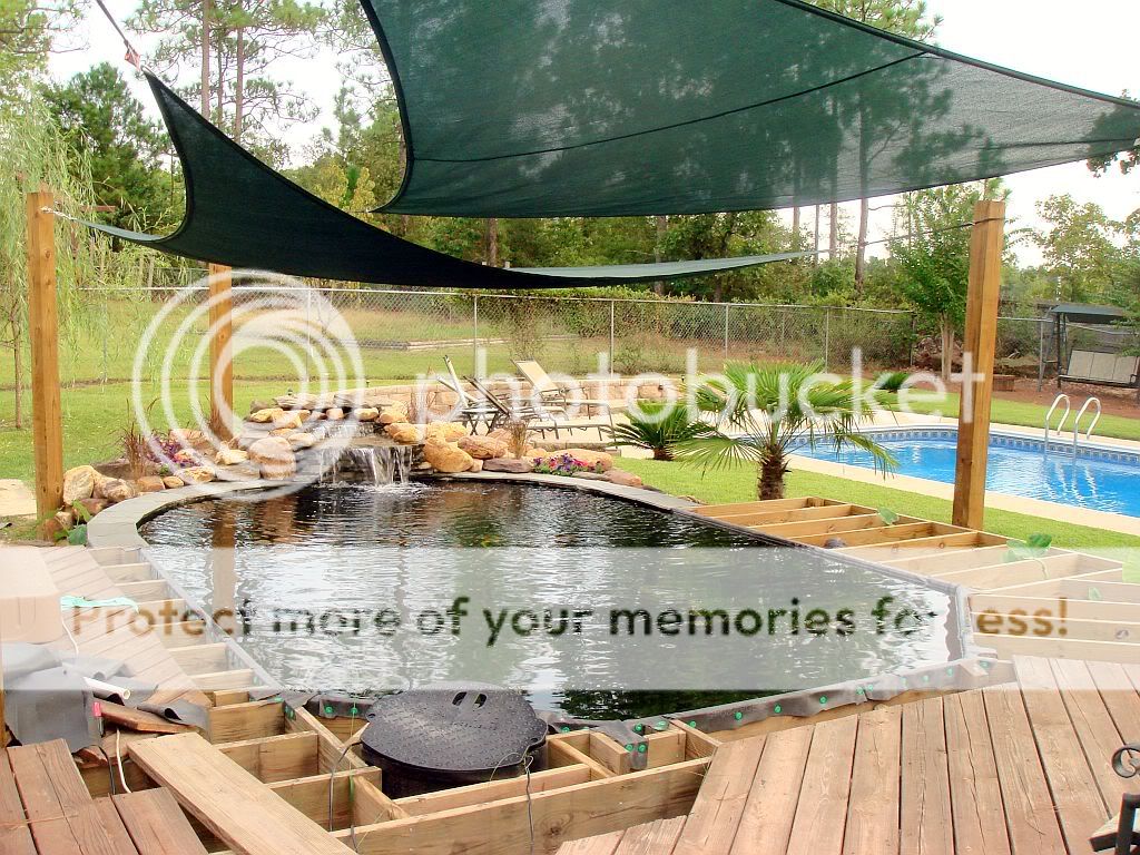 decking around pond