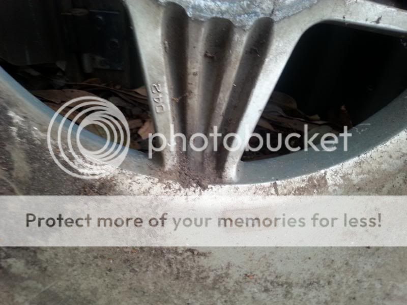 HDT Momo Star Identification - bertiestreet.com