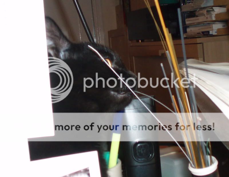 1:48 Blue Max Roland D VI - Page 2 - Work in Progress - Aircraft ...