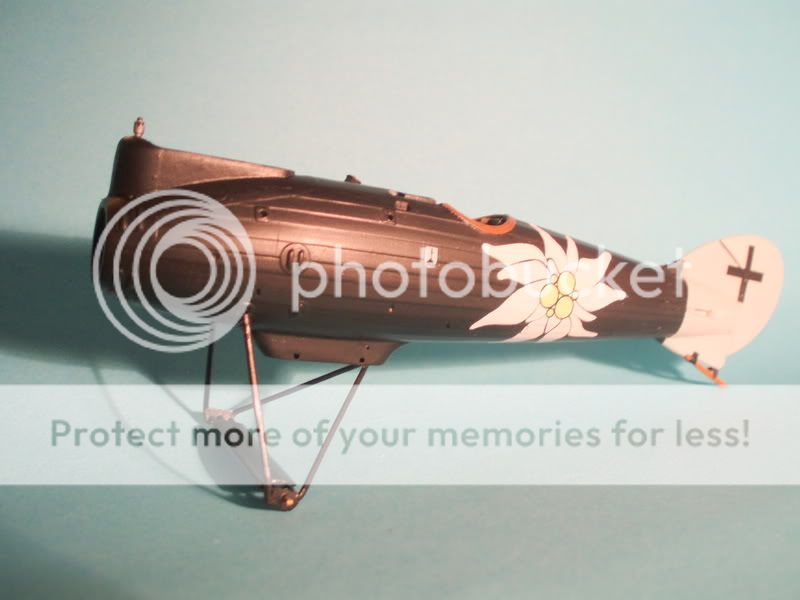 1:48 Blue Max Roland D VI - Work in Progress - Aircraft - Britmodeller.com